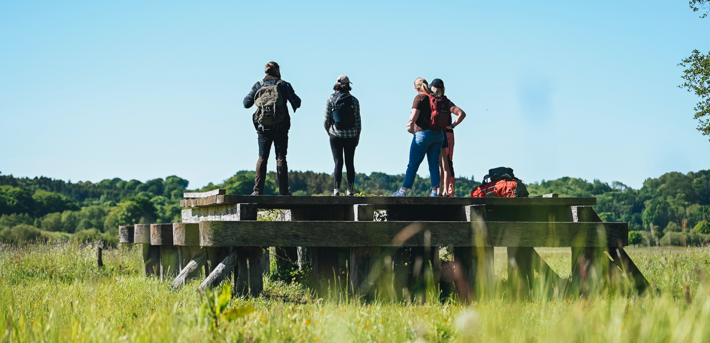 Oplev oldtiden i Vejle-området | VisitVejle